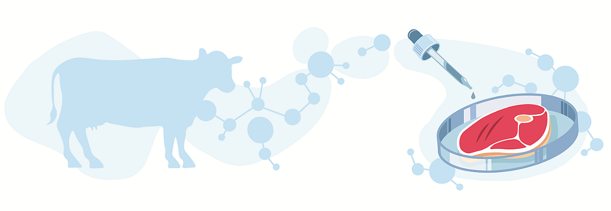 Lab-grown meat: The promising alternative that may be years away from ...